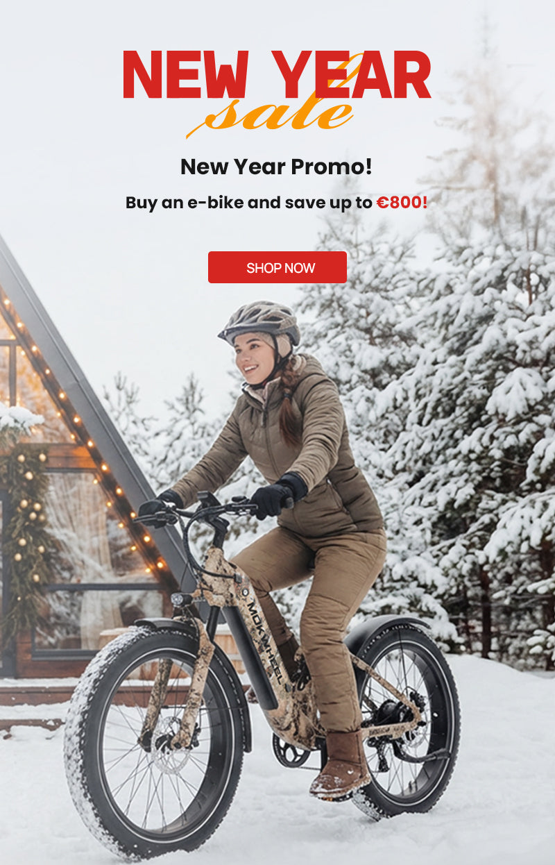 Folding Electric Bikes | Free Shipping